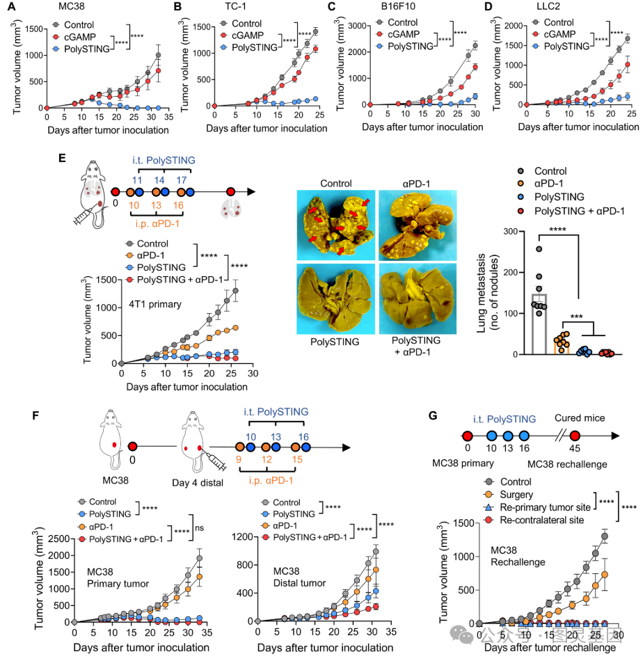 Sci Immu ｜ 德克萨斯大学高金明：激活输突细胞STING通路增强抗肿瘤免疫 - 知乎