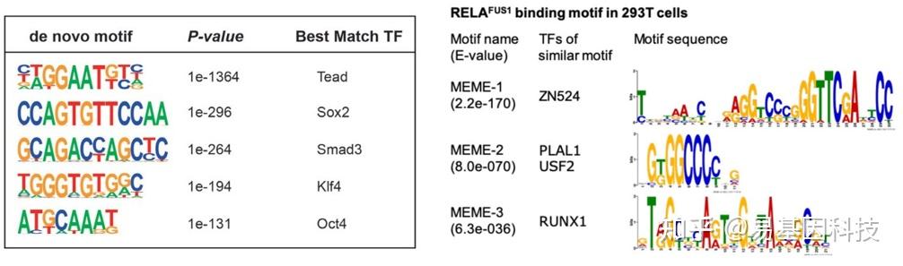 易基因：染色质免疫共沉淀测序(ChIP-seq）的数据挖掘思路 ｜干货系列 - 知乎
