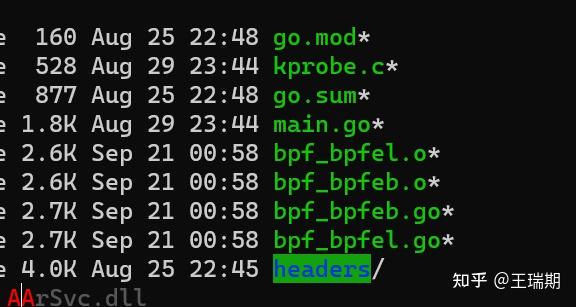 cilium/ebpf 从零搭建一个可以跑的demo - 知乎