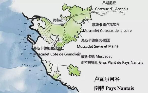 Muscat、Moscato、Muscadelle 和 Muscadet 有啥区别？ - 知乎