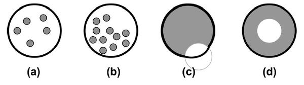 [Percus & Childress 2015] 1.2 早期阶段：概述 - 知乎