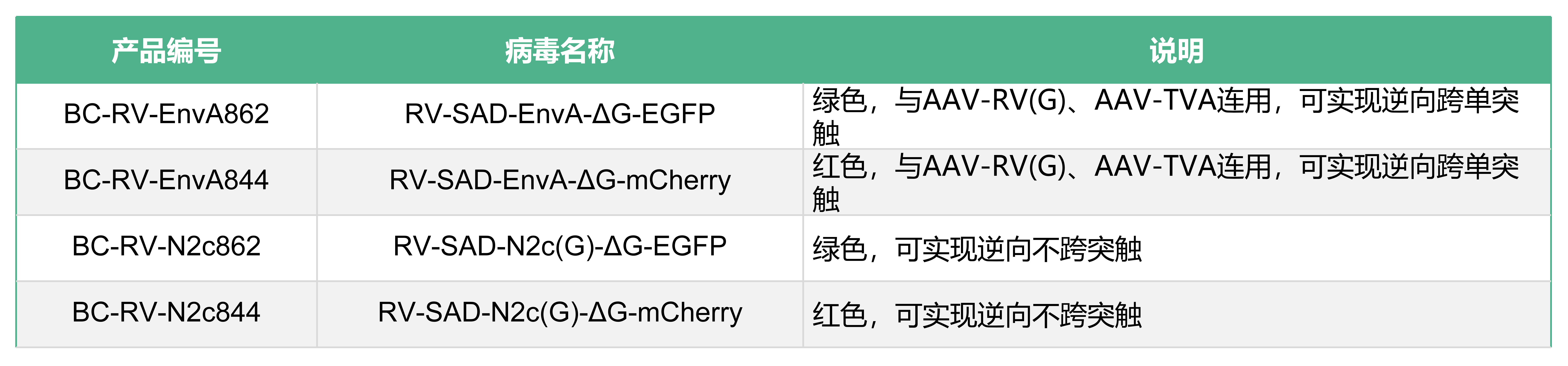 干货分享 | 狂犬病毒（RV）详解 - 知乎