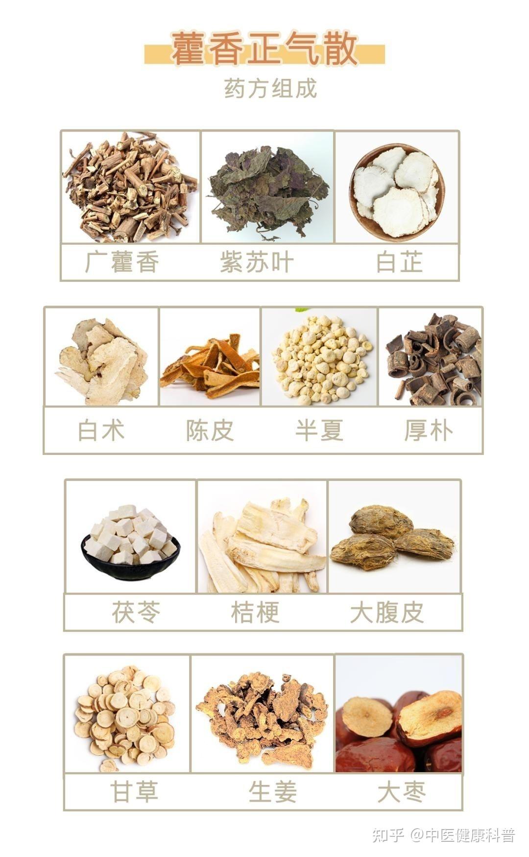 化湿和胃剂—藿香正气散（汤剂） - 知乎
