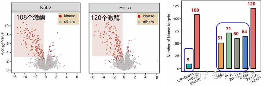 Nat Methods∣PELSA：基于结构微区稳定性变化，助力配体靶标蛋白的发现 - 知乎