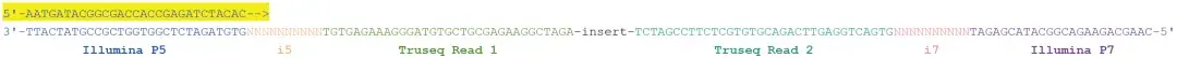 一文搞懂 Illumina 接头序列 - 知乎
