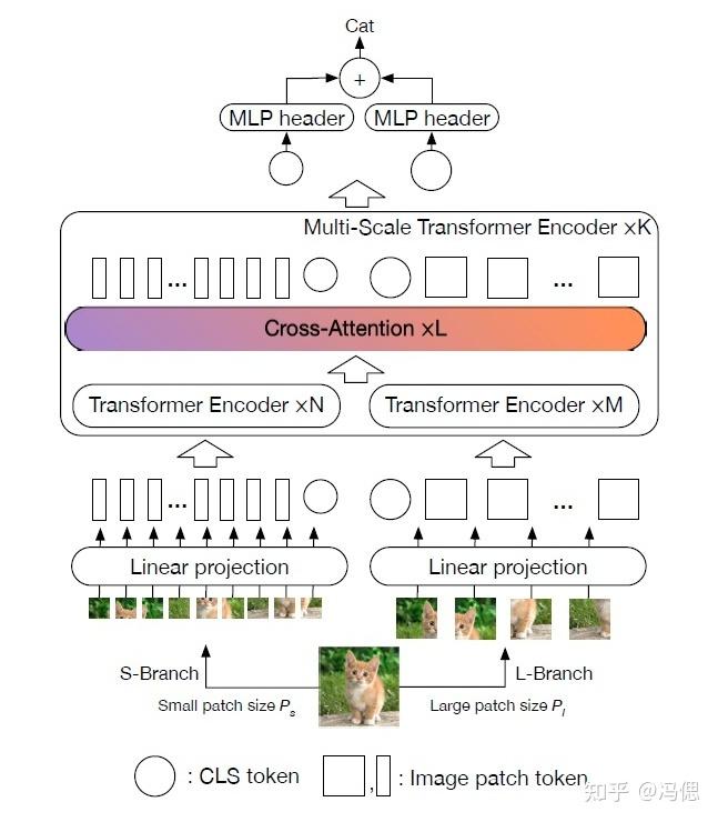近两年有哪些ViT(Vision Transformer)的改进算法？ - 知乎
