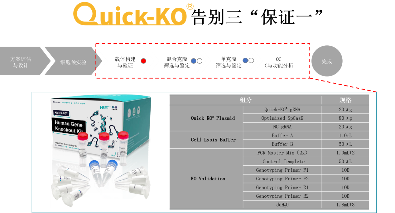Quick-KO试剂盒 - 知乎