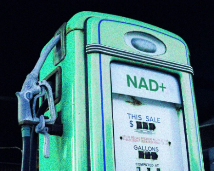 如何对抗衰老？解锁长寿密码，Sirtuins起到重要作用 - 知乎