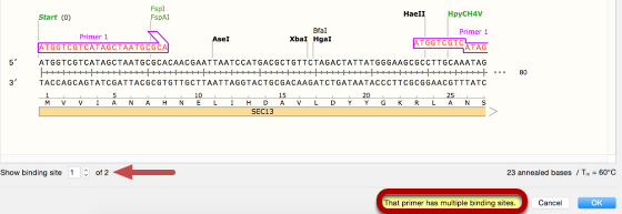 SnapGene操作指南 | 引物设计ⅠⅠ - 知乎