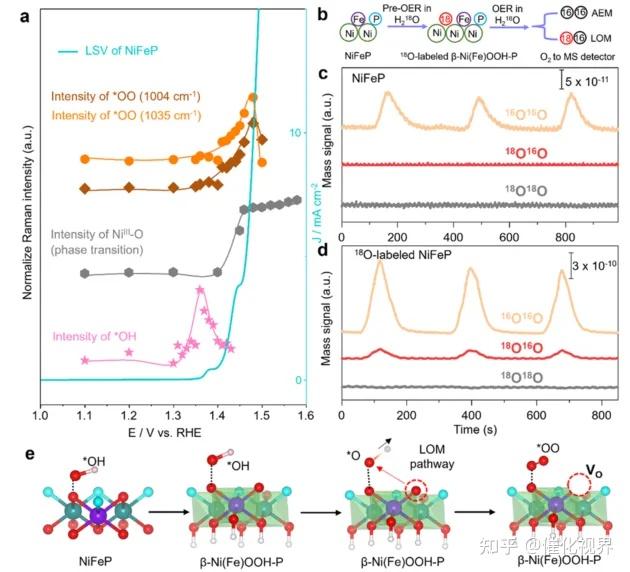 JACS：相工程调控O-O偶联机制提升OER！ - 知乎