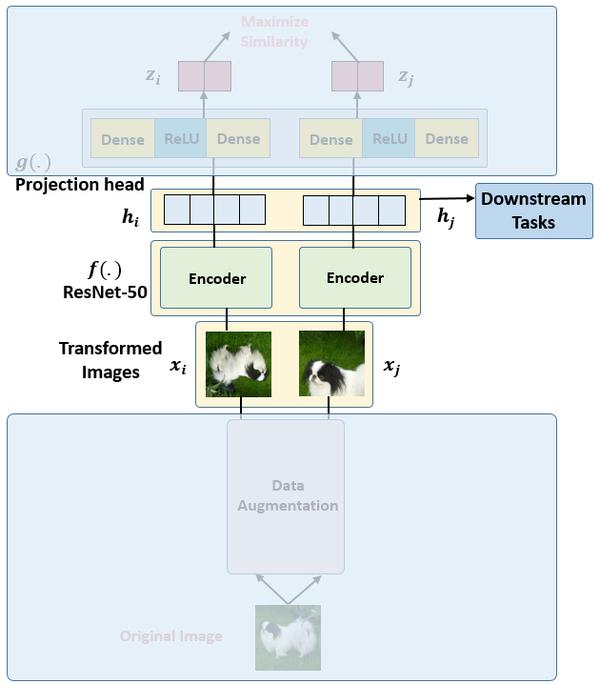 Self-Supervised Learning 超详细解读 (二)：SimCLR系列 - 知乎