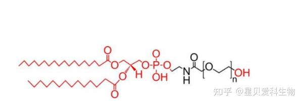 DSPE-PEG-OH;磷脂PEG羟基 - 知乎