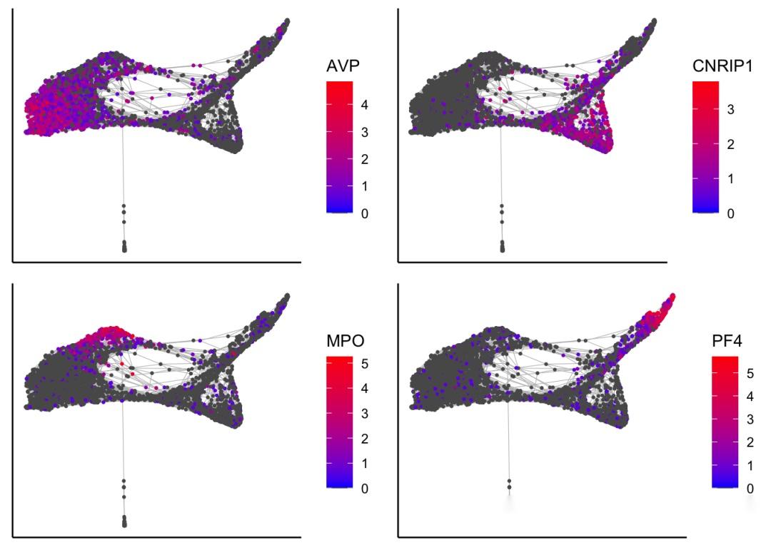 SingCellaR代码实操（四）：多样本单细胞数据整合下游分析 - 知乎