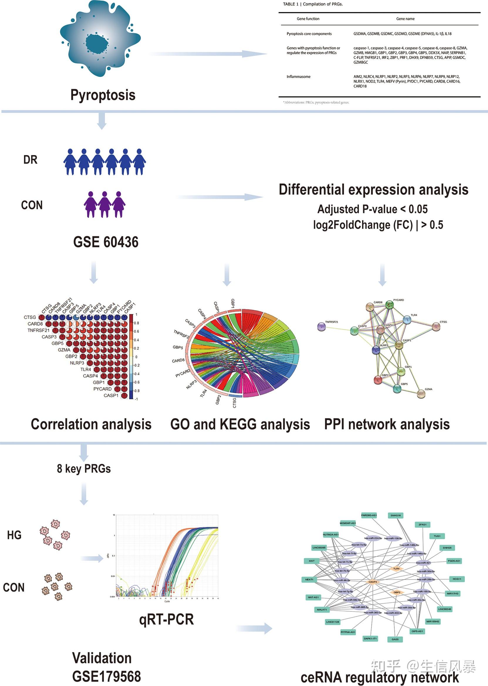 6+细胞焦亡+干湿结合生信思路 - 知乎