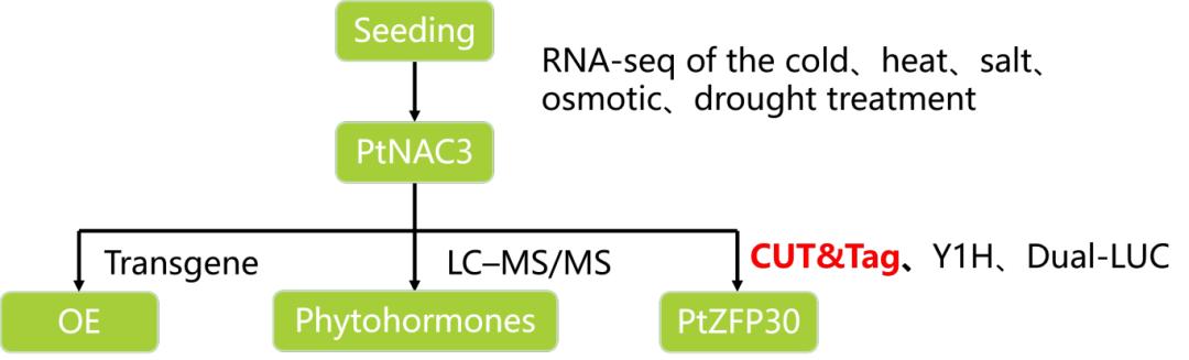 【技术专栏】如何对CUT&Tag项目进行质控 - 知乎