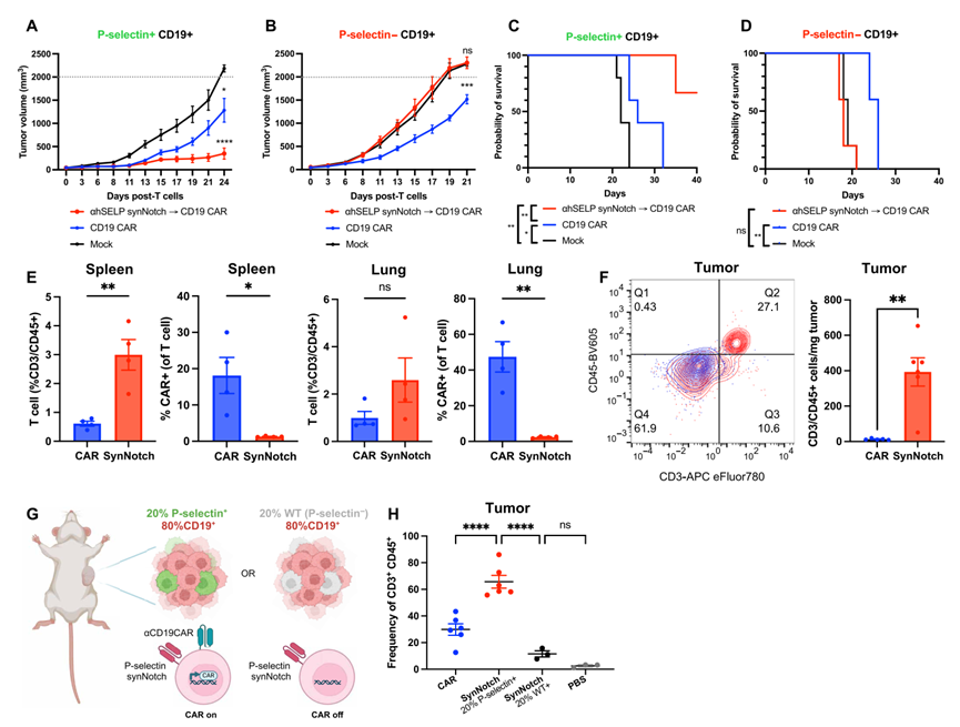 MSK开发仅在肿瘤微环境中激活的高亲和力GD2 CAR T：安全且更有效 - 知乎
