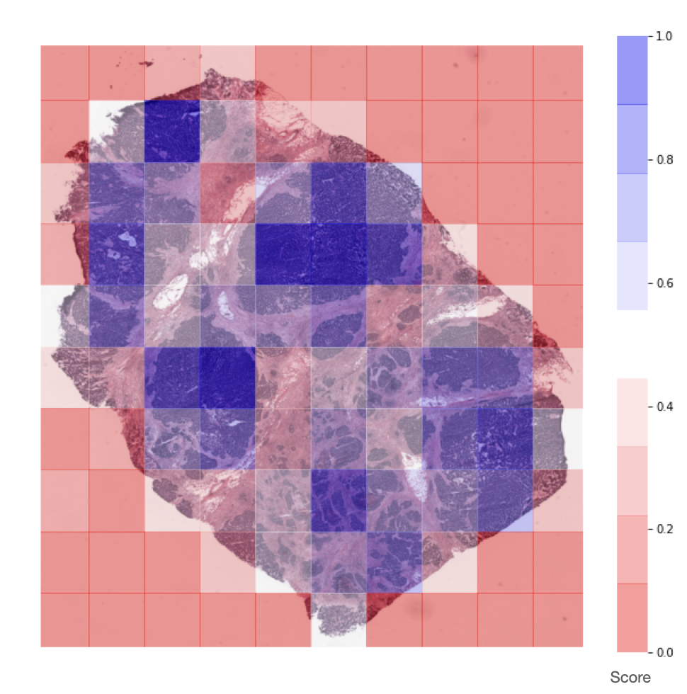 病理图像处理随笔(2)--WSI切片 - 知乎