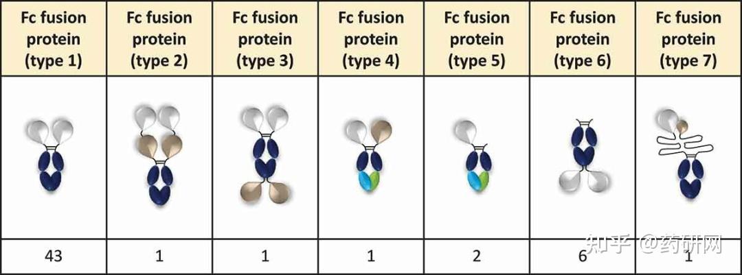 抗体三大作用机制：ADCC/ADCP/CDC - 知乎