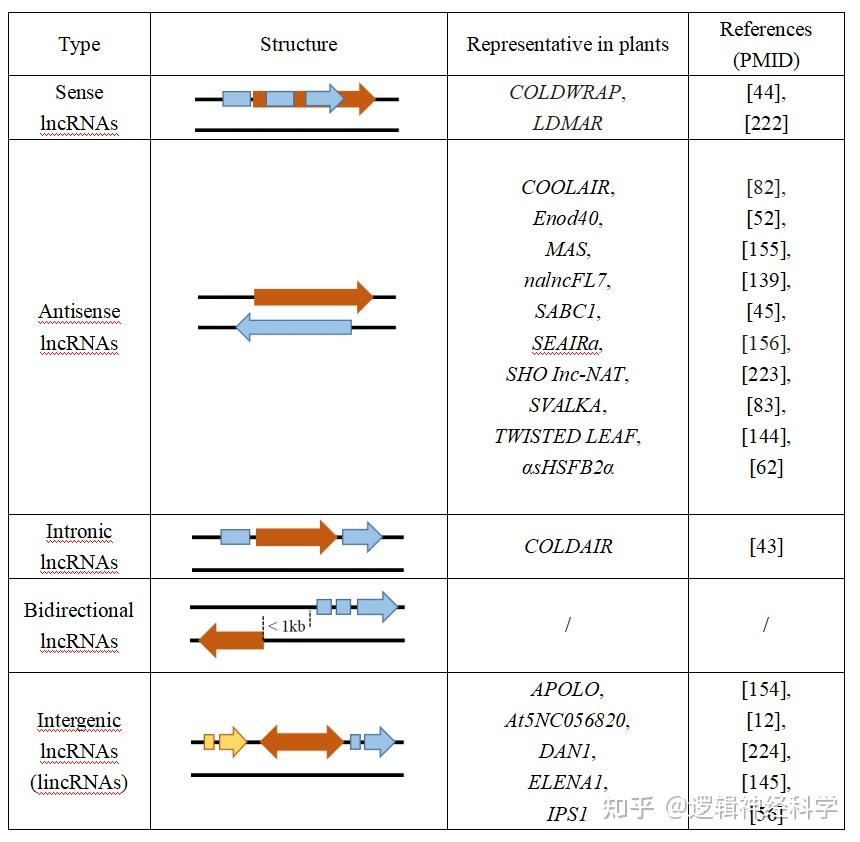 PLOS Pathog︱北京大学李毅与中国科学院动物研究所张晓明团队综述长链非编码RNA在植物抗性免疫反应过程中的功能 - 知乎