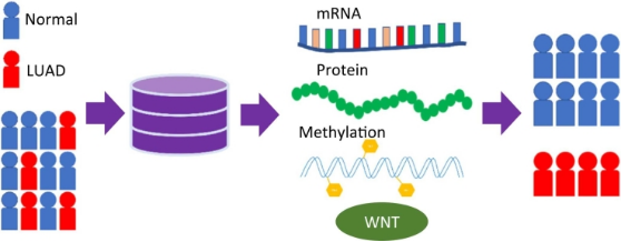 5张图拿下6分+纯生信，单基因超值思路来袭！转录+蛋白+表观多组学分析+免疫分析，创新性超赞，极易复现!！ - 知乎