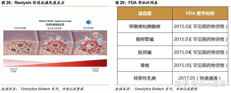 溶瘤病毒产业速览 - 知乎