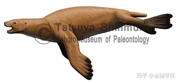 新生代巨兽猛兽与其他掠食者精简名录：古兽争锋榜（新近纪篇） - 知乎