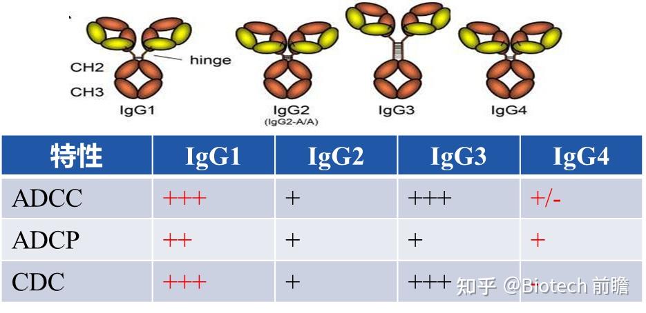 不同ICIs治疗效果差异的三个原因浅析 - 知乎