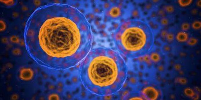 Tre Cell Bio | 英国女科学家：AI分析细胞形态变化的机遇与挑战 - 知乎