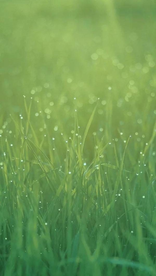 【收藏】苹果iPhone历代高清壁纸合集 - 知乎