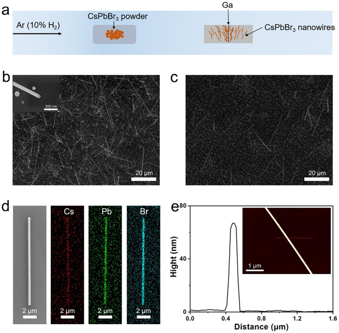 Ga辅助竖立CsPbBr₃纳米线的生长及其高性能光电应用 - 知乎