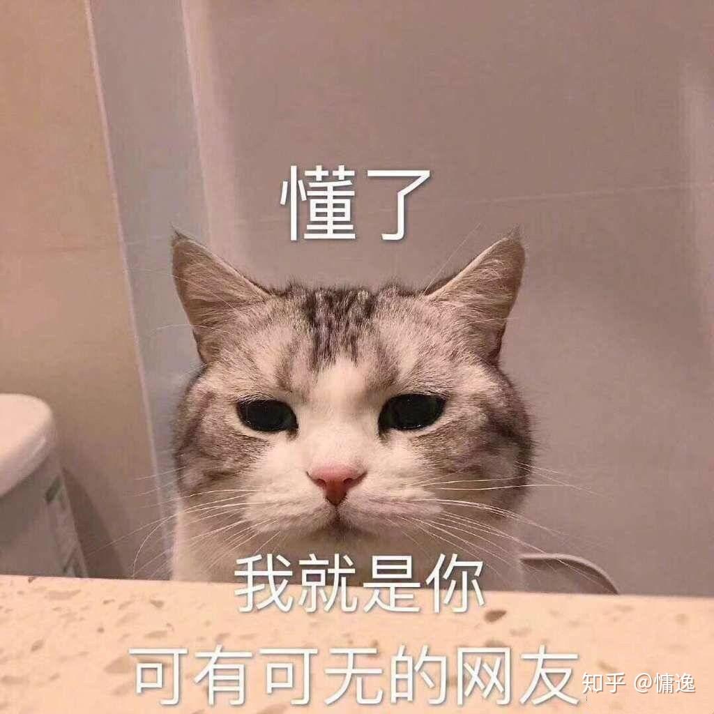 有没有别人不理你时的表情包 知乎