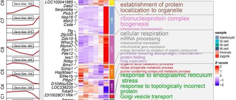不用Python不用R？一行命令搞定它——获取KEGG通路基因列表|DIY YOUR GMT FILE - 知乎