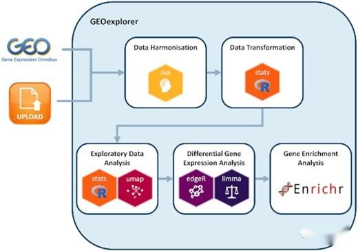 NAR最新发布--GEOexplorer：基因表达分析和可视化的在线工具 - 知乎