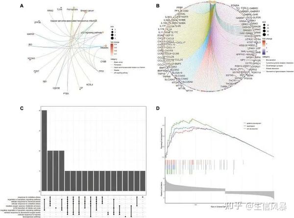 生信分析铁死亡+简单实验 - 知乎