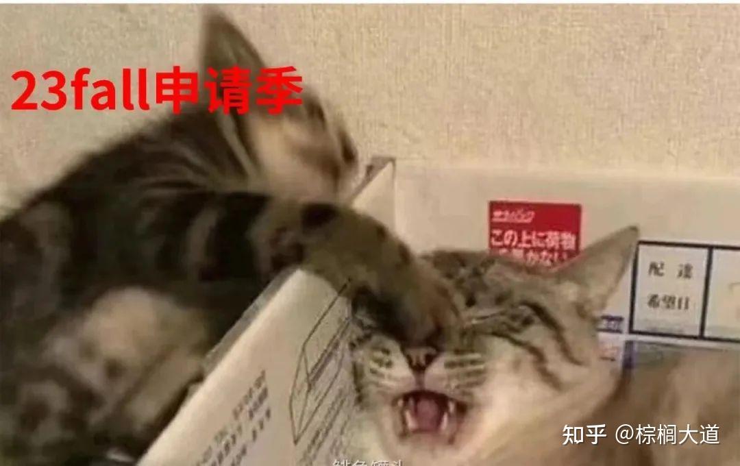 23Fall英港新offer汇总——IC爱丁堡狠拒985，港前三转录双非（1.5更新）