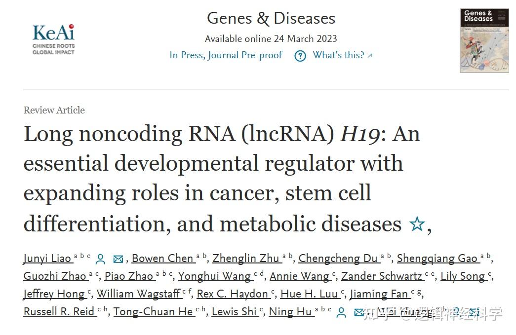 Genes Dis 综述︱重庆医科大学附院黄伟团队评述长链非编码RNA H19在肿瘤、干细胞分化和代谢性疾病中的调控作用 - 知乎