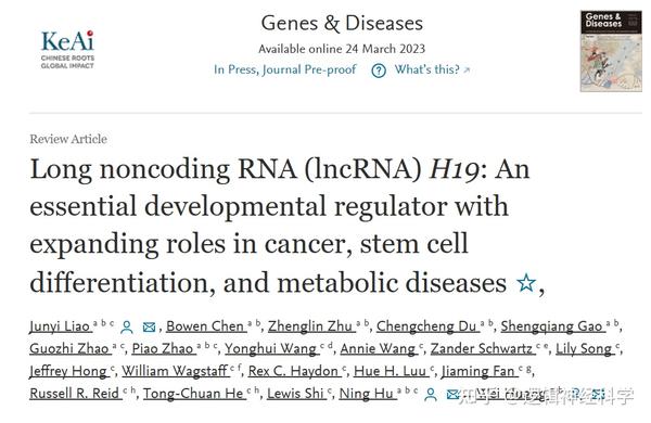Genes Dis 综述︱重庆医科大学附院黄伟团队评述长链非编码RNA H19在肿瘤、干细胞分化和代谢性疾病中的调控作用 - 知乎