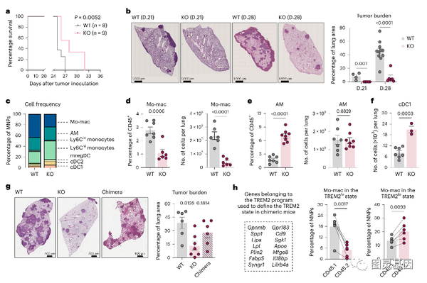 Nat Immu | 巨噬细胞抑制肺癌中NK细胞的募集和激活 - 知乎