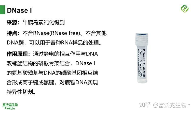 "分子剪刀手”DNase I 你了解多少？ - 知乎