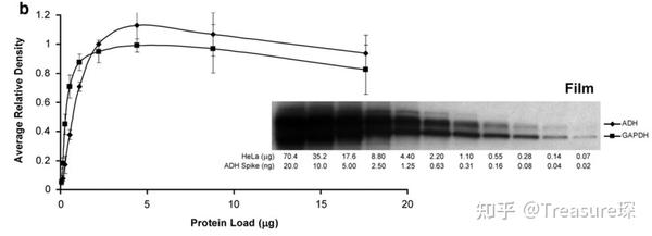 ImageJ实用技巧——Western Blot定量分析深入探究(定量分析篇) - 知乎
