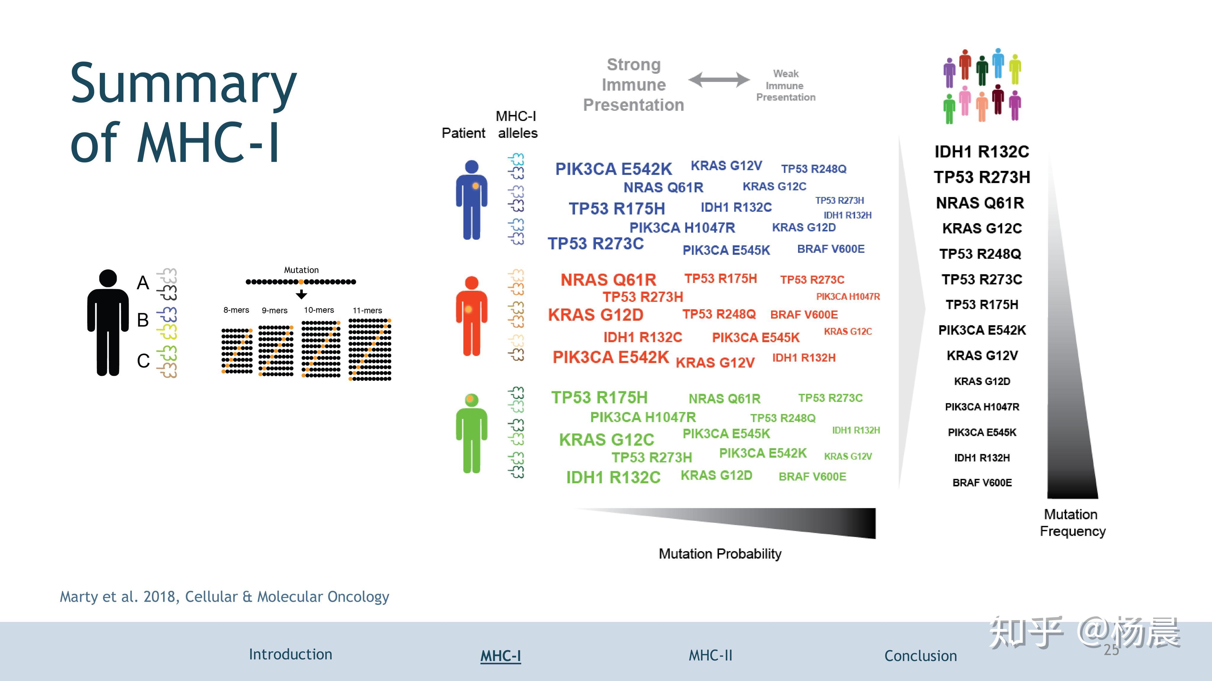 MHC在肿瘤发展过程中的作用 - 知乎