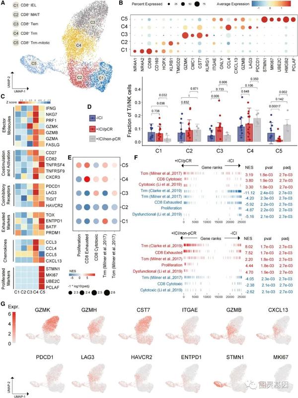 Cancer Cell | 中山大学团队揭示PD-1治疗后肿瘤患者的免疫和基质细胞动力学 - 知乎