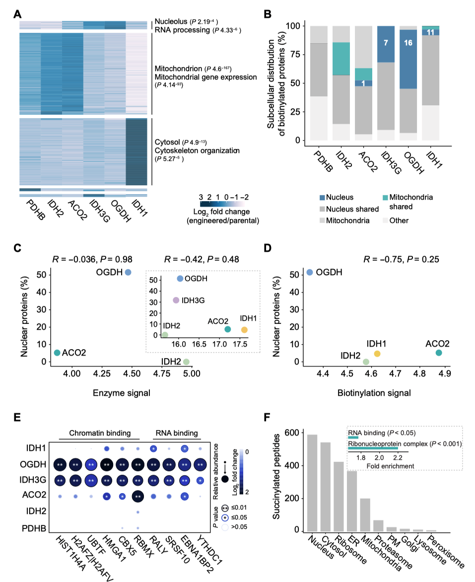 Science子刊丨细胞核内的三羧酸循环 - 知乎