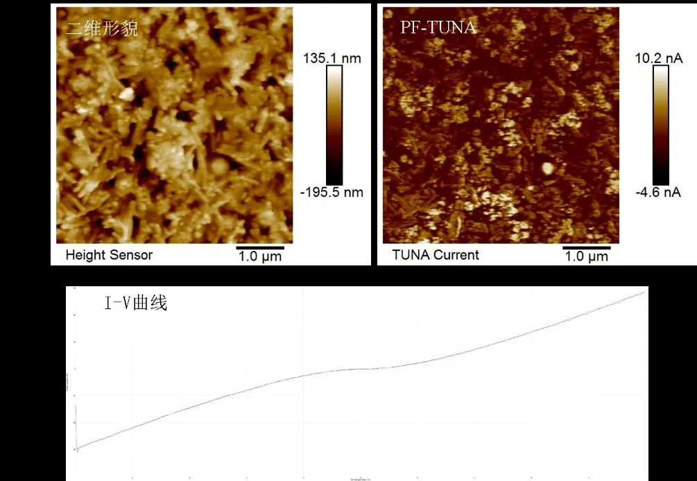 AFM之PeakFoce TUNA和C-AFM - 知乎
