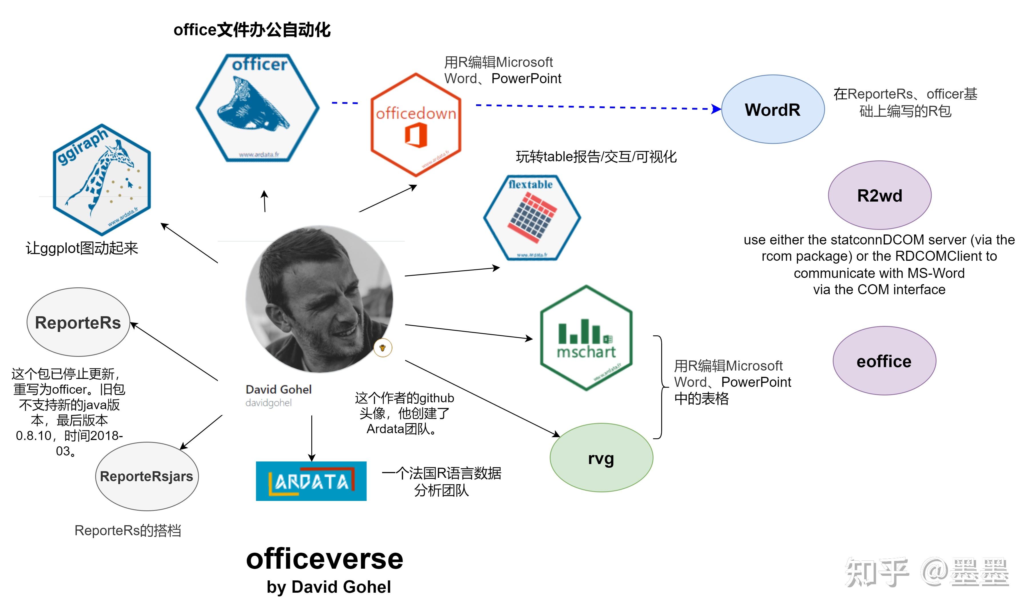 R语言一键生成报告的利器——officeverse集合、WordR包 - 知乎