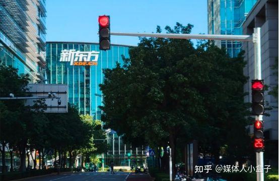 揭秘新东方的重生——由教培转行电商的成功原因 - 知乎