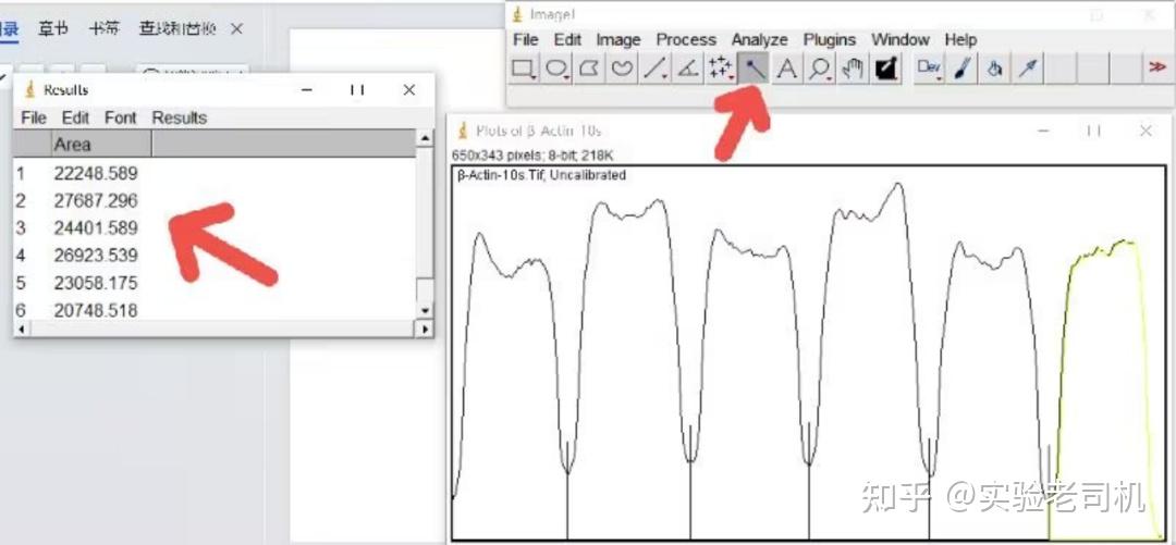 手把手教学——WB条带量化之ImageJ软件分析 - 知乎