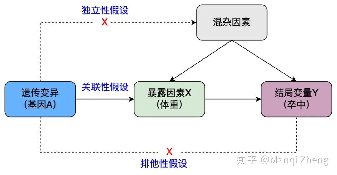 工具变量（Instrumental variable, IV）法与孟德尔随机化（Mendelian Randomization, MR）基础 - 知乎