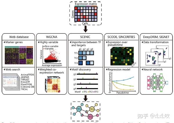 超详细 | 生物医学研究和临床应用中scRNA-seq的数据分析指南 - 知乎