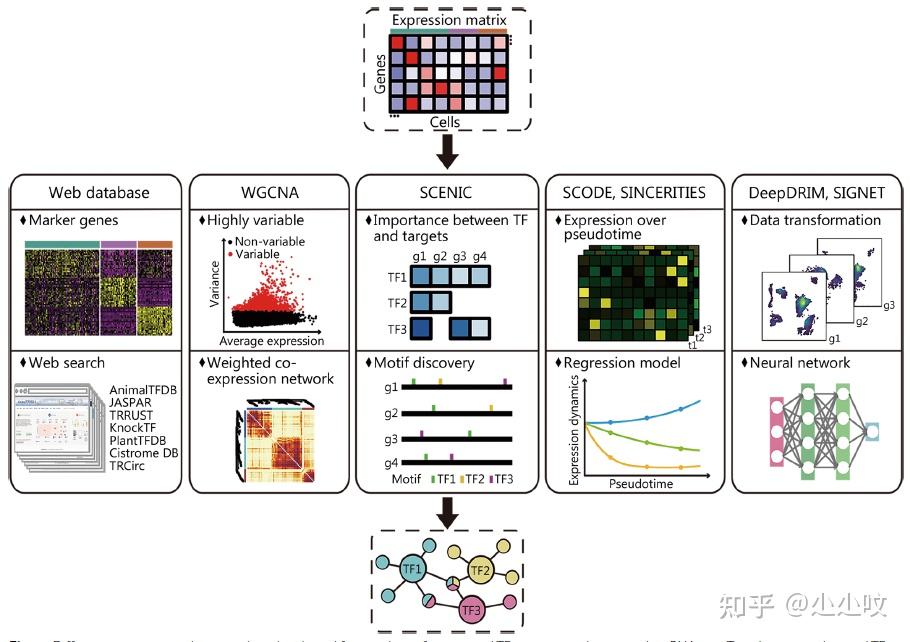 超详细 | 生物医学研究和临床应用中scRNA-seq的数据分析指南 - 知乎
